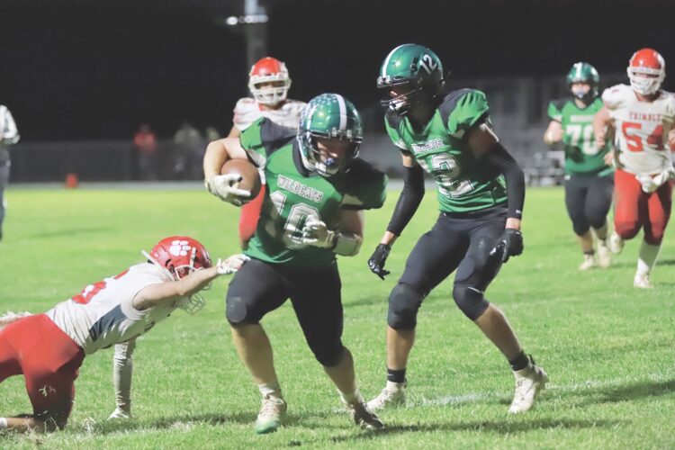 Six Wildcats named first team All-Southeast District | News, Sports ...